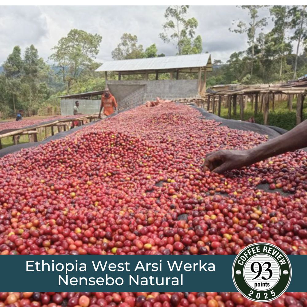 Ethiopia West Arsi Werka Nensebo Natural – Bear Lake Coffee Co.